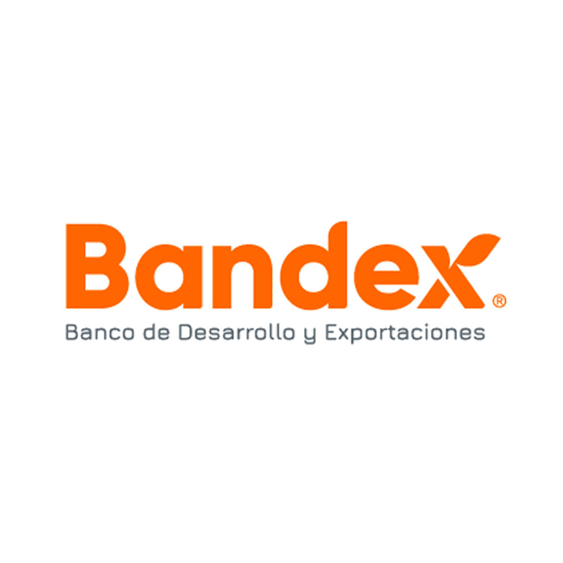 BANEDEX - Over Kontrol